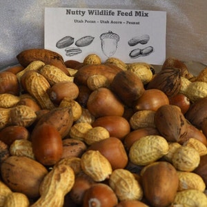 Nutty Wildlife Feed Mix With Utah Acorn, Utah Pecan, Peanut in Shell ...