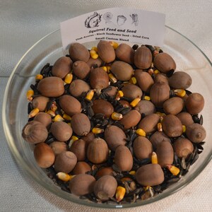 Utah Acorn Mix Squirrel Feed With Black Sunflower Seeds and Dried Corn ...