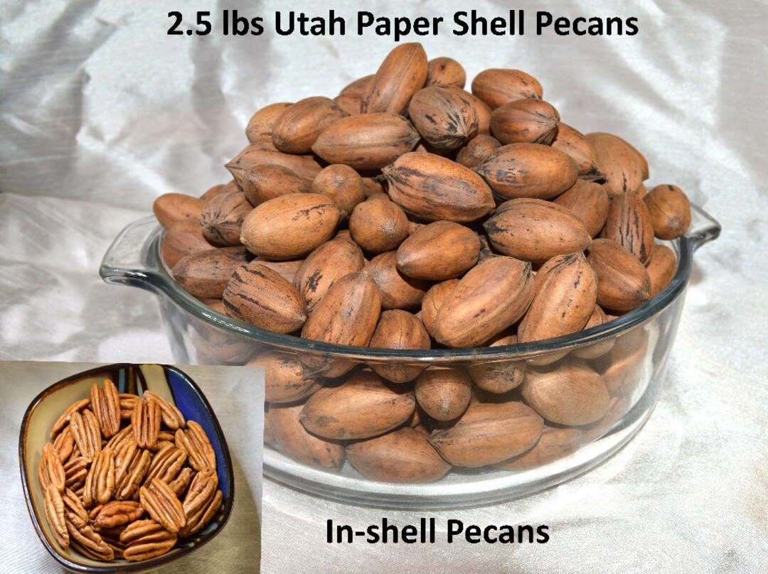 Pecans Utah Grown Each Bag 2.5 Lbs of Paper Shell Pecans In-shell From ...