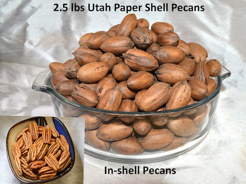 Pecans Utah Grown Each Bag 2.5 Lbs of Paper Shell Pecans In-shell From ...