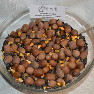 Utah Acorn Mix Squirrel Feed With Black Sunflower Seeds and Dried Corn ...
