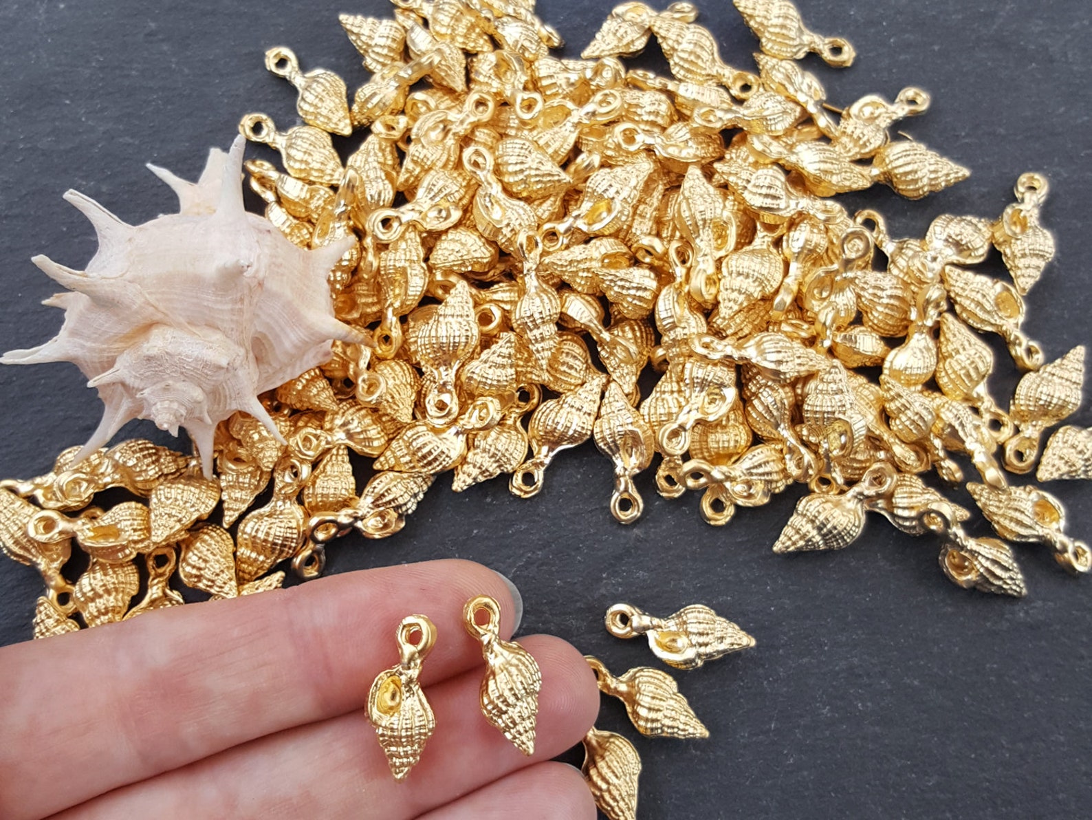Conch Shell Charms Gold Shell Charms Mini Conch Shell Shell - Etsy