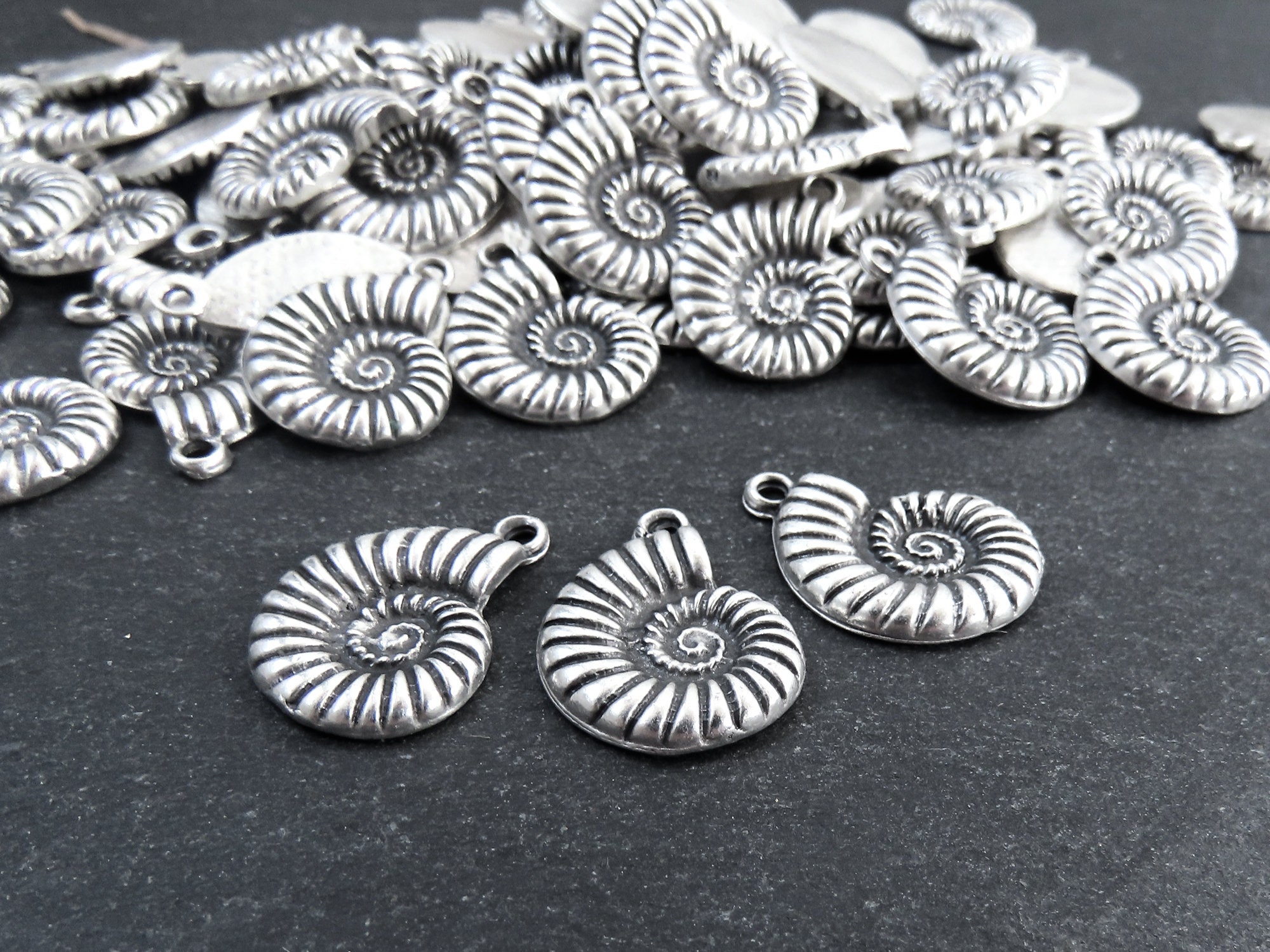 Ammonite Fossil Spiral Sea Shell Charms Gold Shell Pendant - Etsy