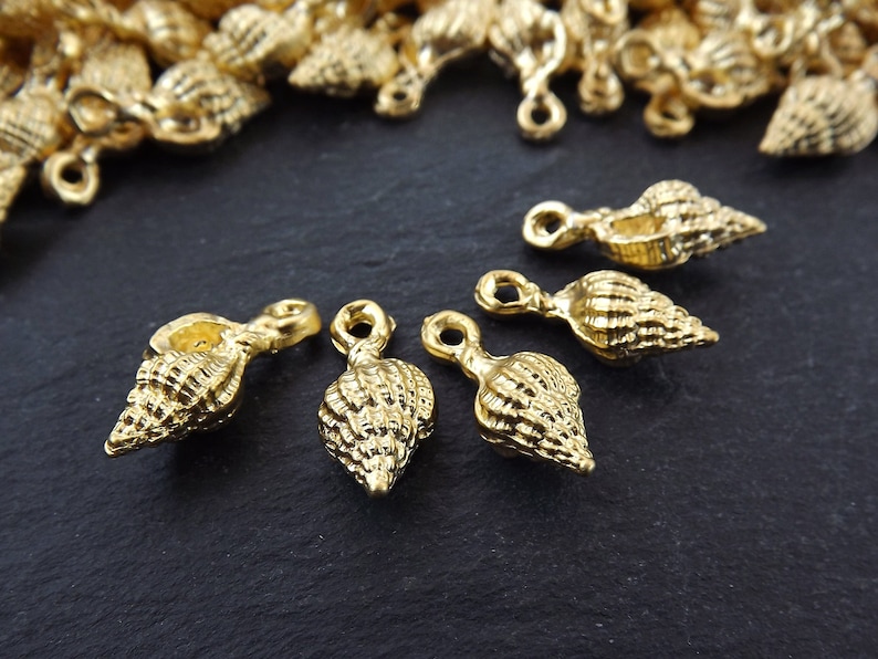 Conch Shell Charms Gold Shell Charms Mini Conch Shell Shell - Etsy