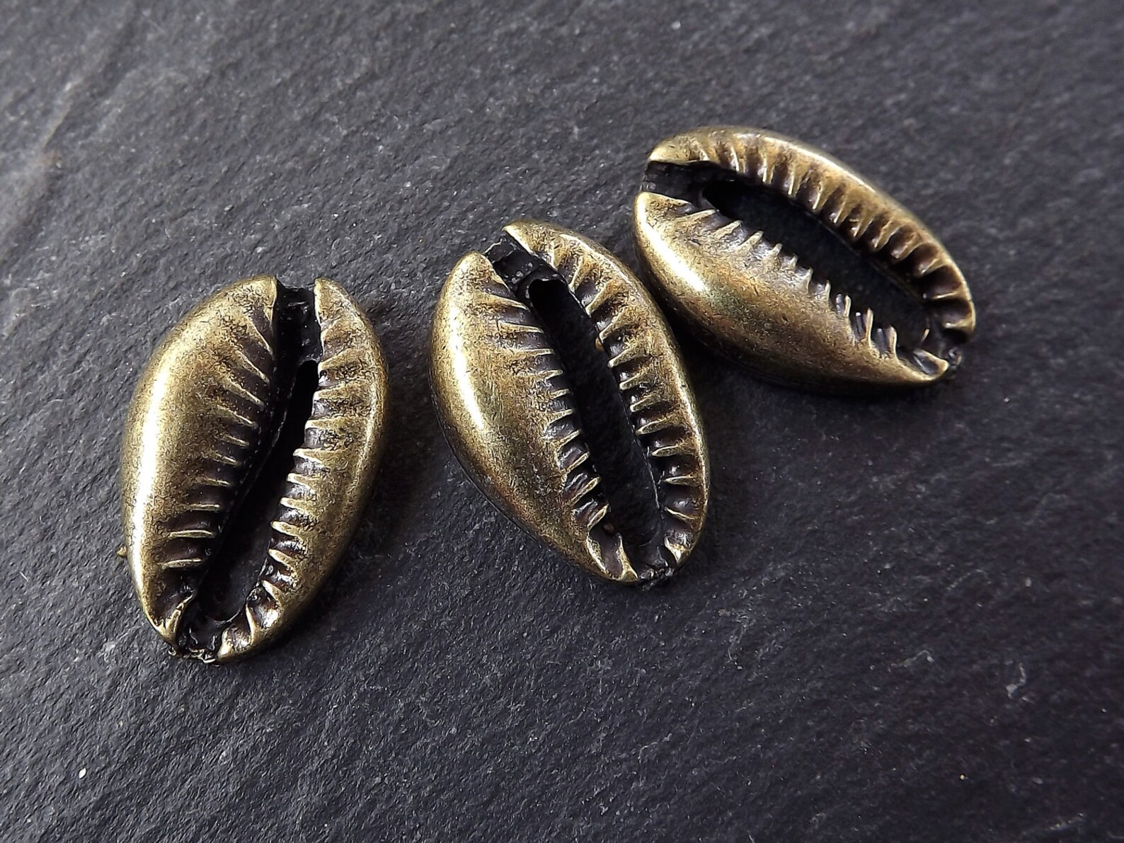 Cowrie Shell Charms Bronze Shell Charms Seashell Shell - Etsy