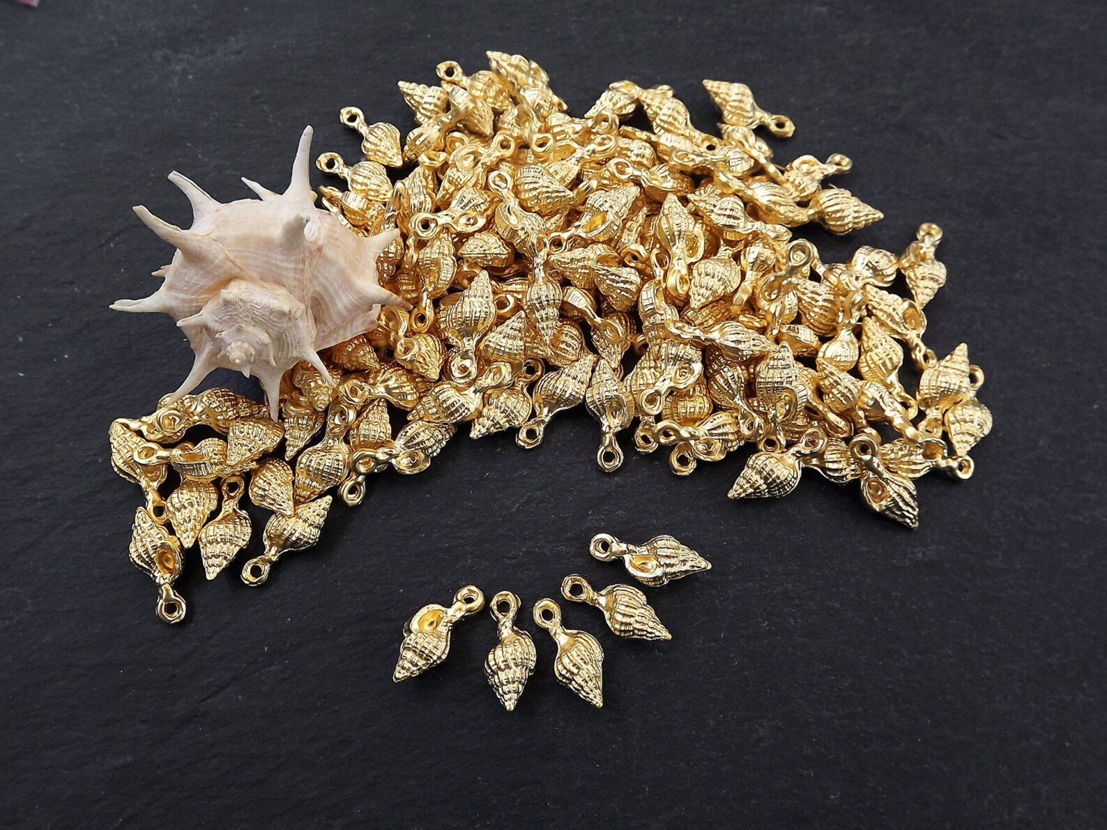 Conch Shell Charms Gold Shell Charms Mini Conch Shell Shell - Etsy