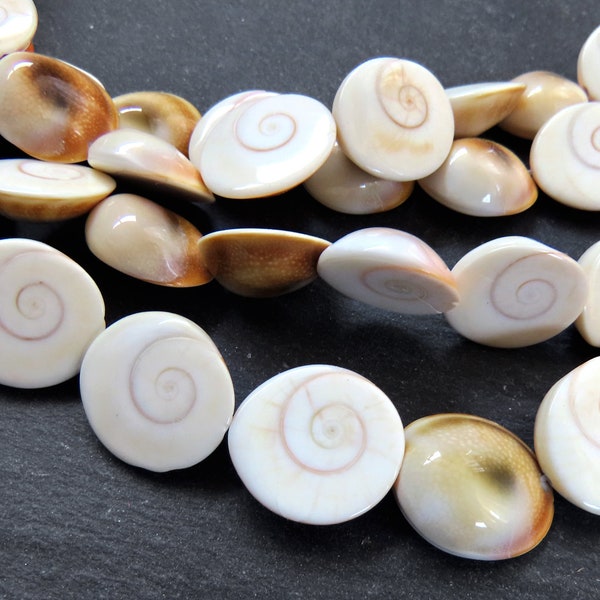 Round Shell Beads - Etsy