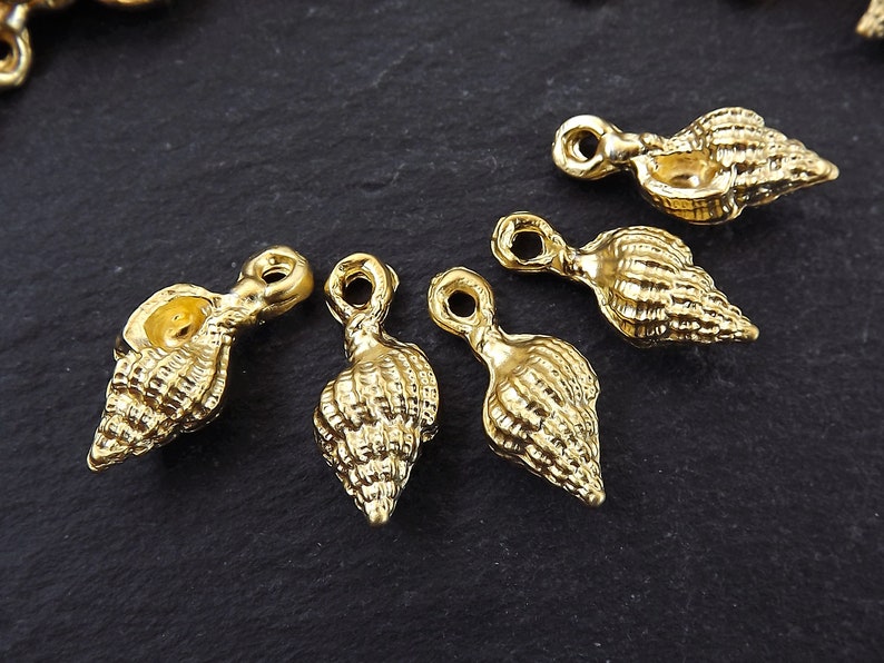 Conch Shell Charms Gold Shell Charms Mini Conch Shell Shell - Etsy