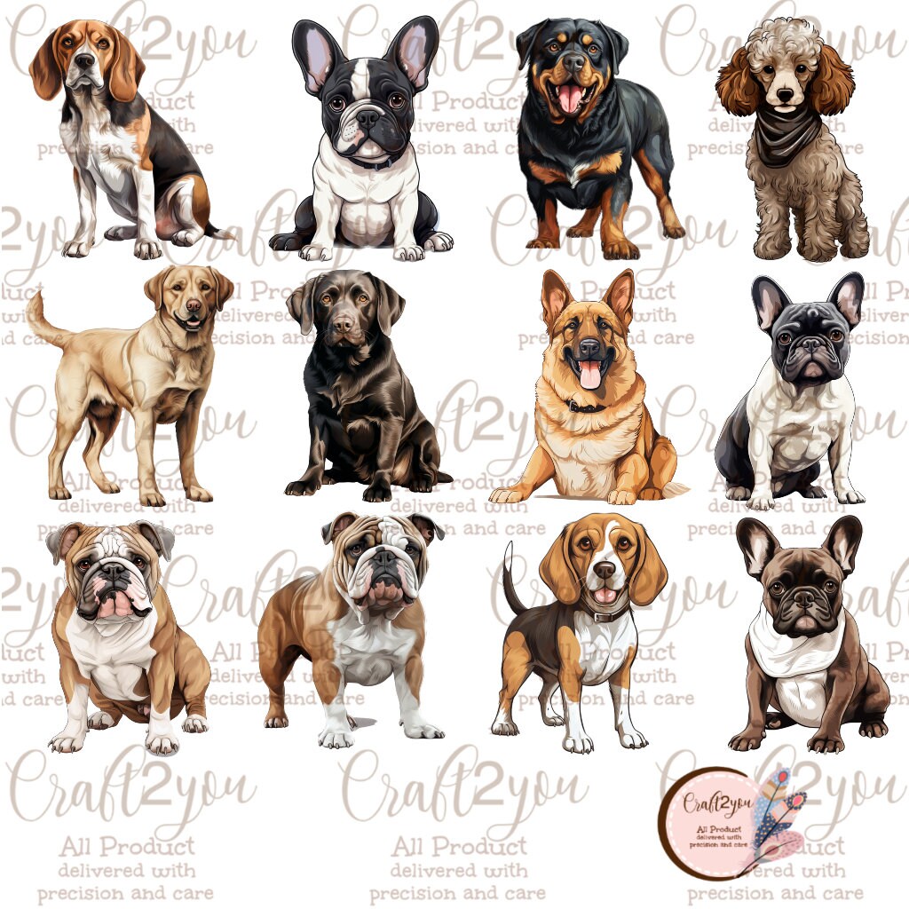Dog Clipart Watercolor Vol.5 Poppy Graphics Dog Breeds With Budle of 12 ...