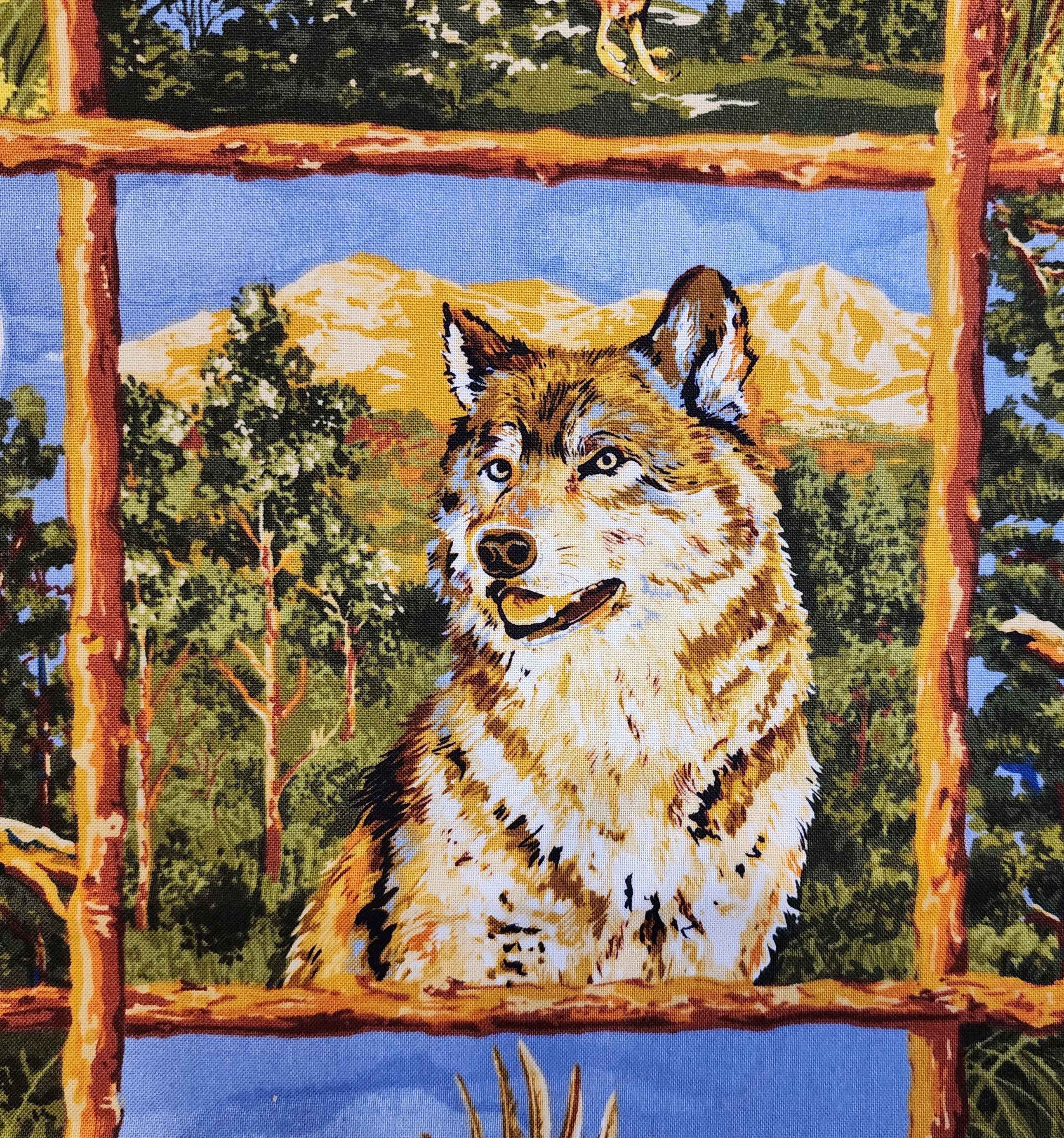 National Park Series 2297 Northcott Cotton Quilting Fabric Panel, Bear ...