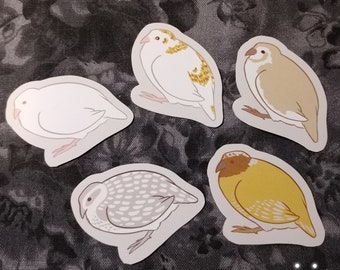 Quail Stickers - Etsy