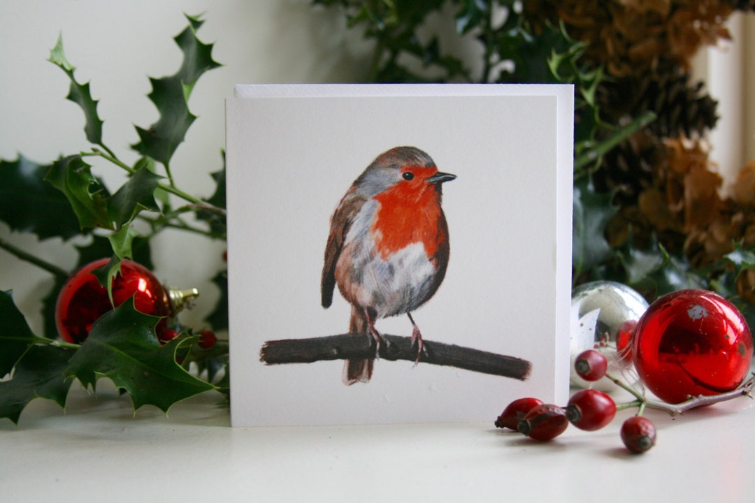 Square Blank Greetings Cards of a Robin Drawn by Imogen Man - Etsy