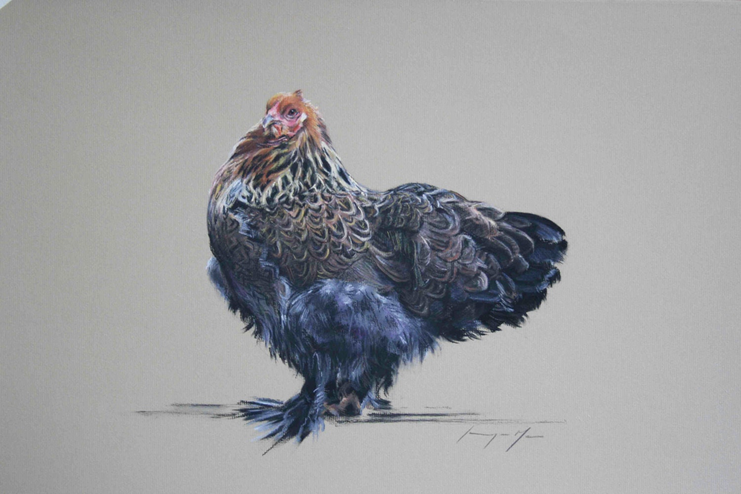 Sarah - A6 leeg wenskaart voor een kip getekend door Imogen Man - Etsy ...