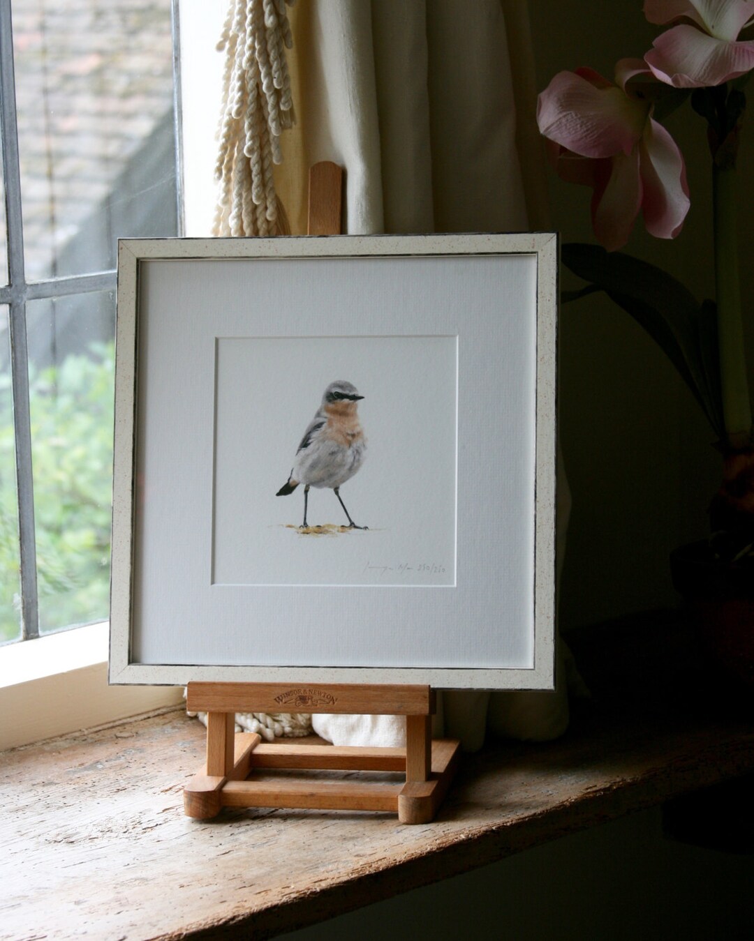 Wheatear - Limited Edition Giclee Print From Original Pastel Drawing by ...