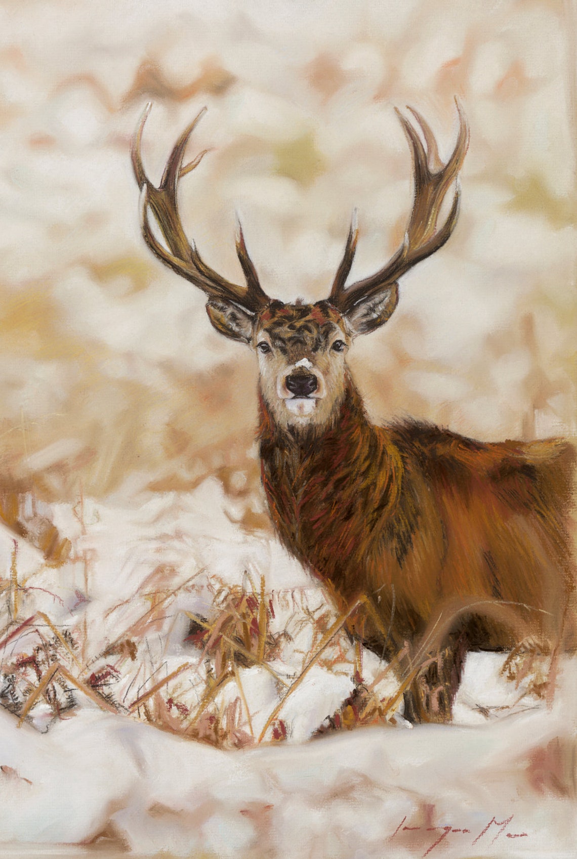 Stag in Winter Limited Edition Giclee Print From Original Pastel ...