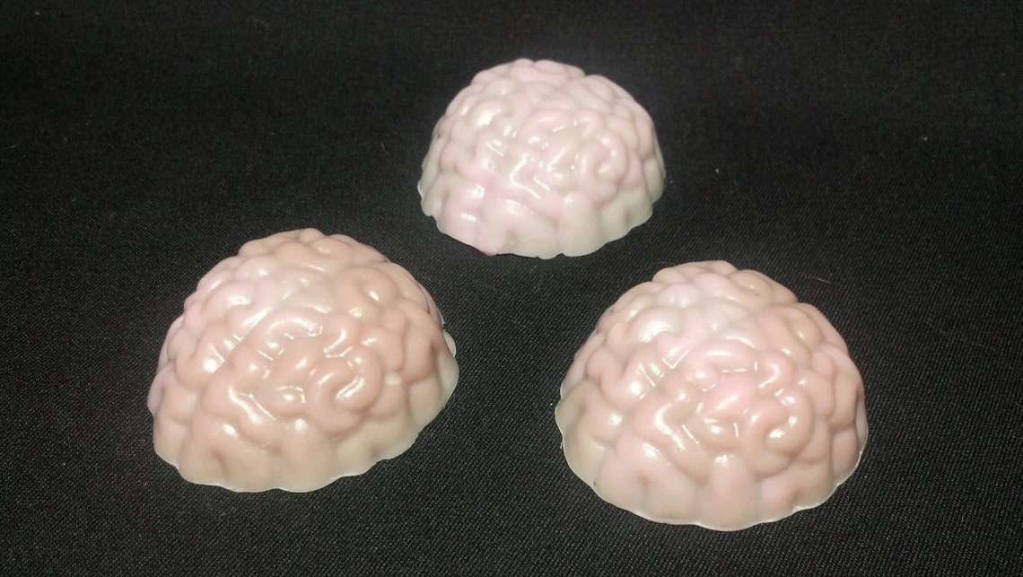Set of Three Realistic Anatomy Brain Soaps in Buttercreme and ...