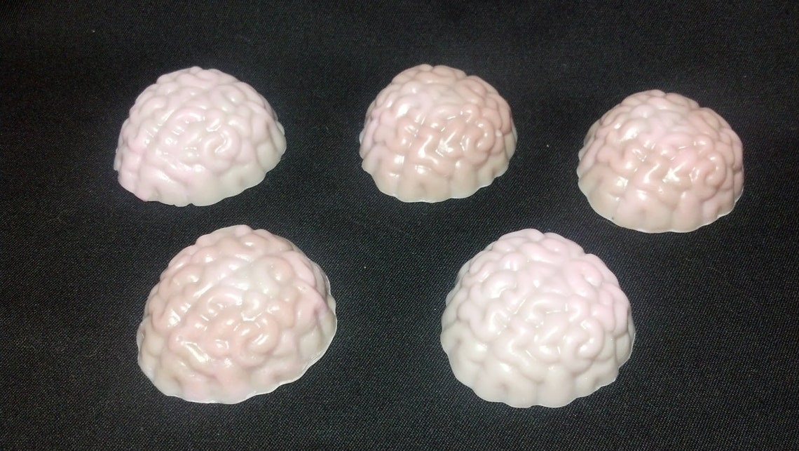 Set of Three Realistic Anatomy Brain Soaps in Buttercreme and ...