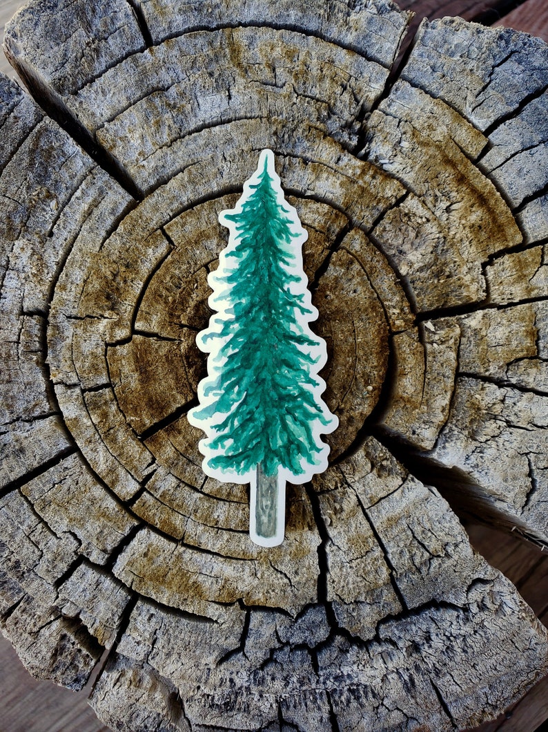 Watercolor Sticker TREE Sticker Nature PNW Vinyl Sticker - Etsy