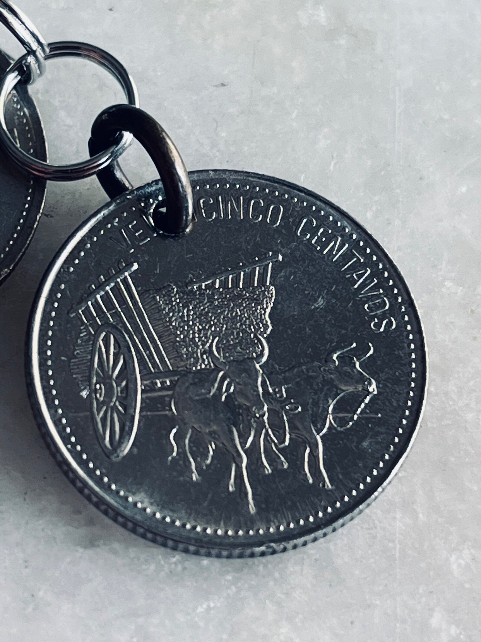 Travel Coin Good Luck Keychain - Etsy