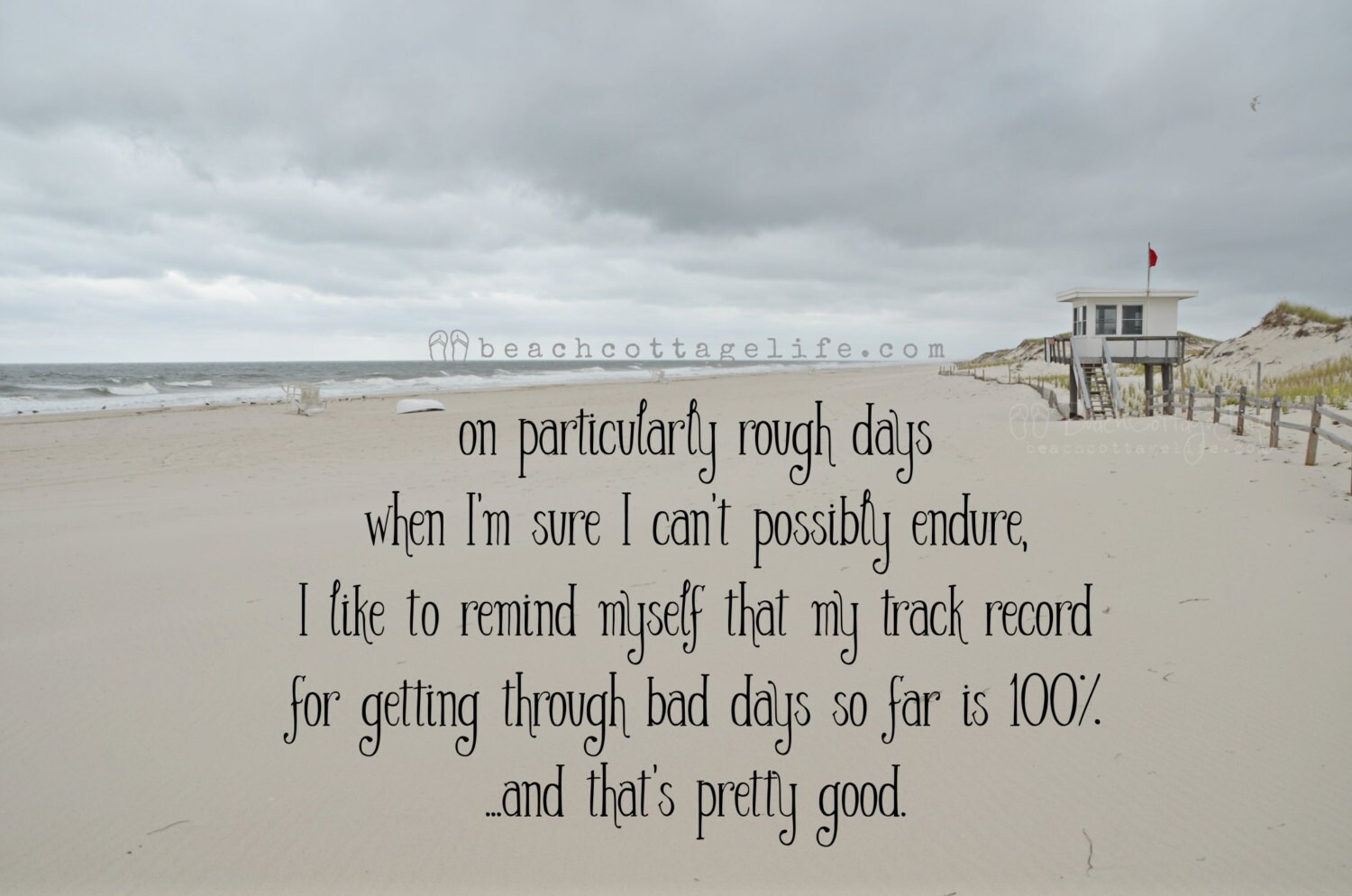 100% on Particularly Rough Days I Like to Remind Myself That My Track ...