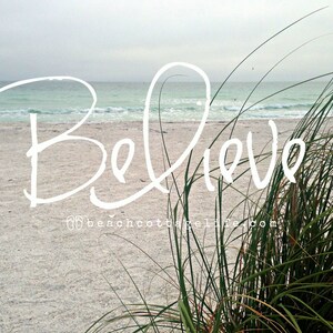 BELIEVE sand Dunes BEACH Grass Entrance Path COASTAL Living ...