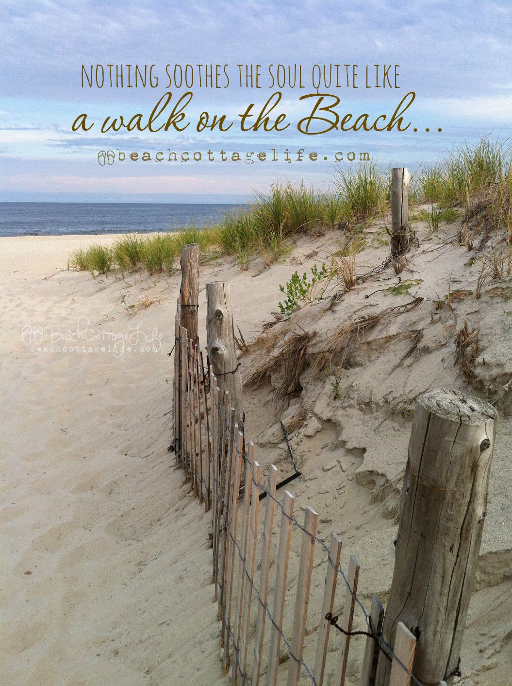 Nothing Soothes the Soul Like a Walk on the Beach Therapy / STRESS FREE ...