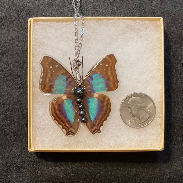 Glass Encased Butterfly Necklace - Etsy