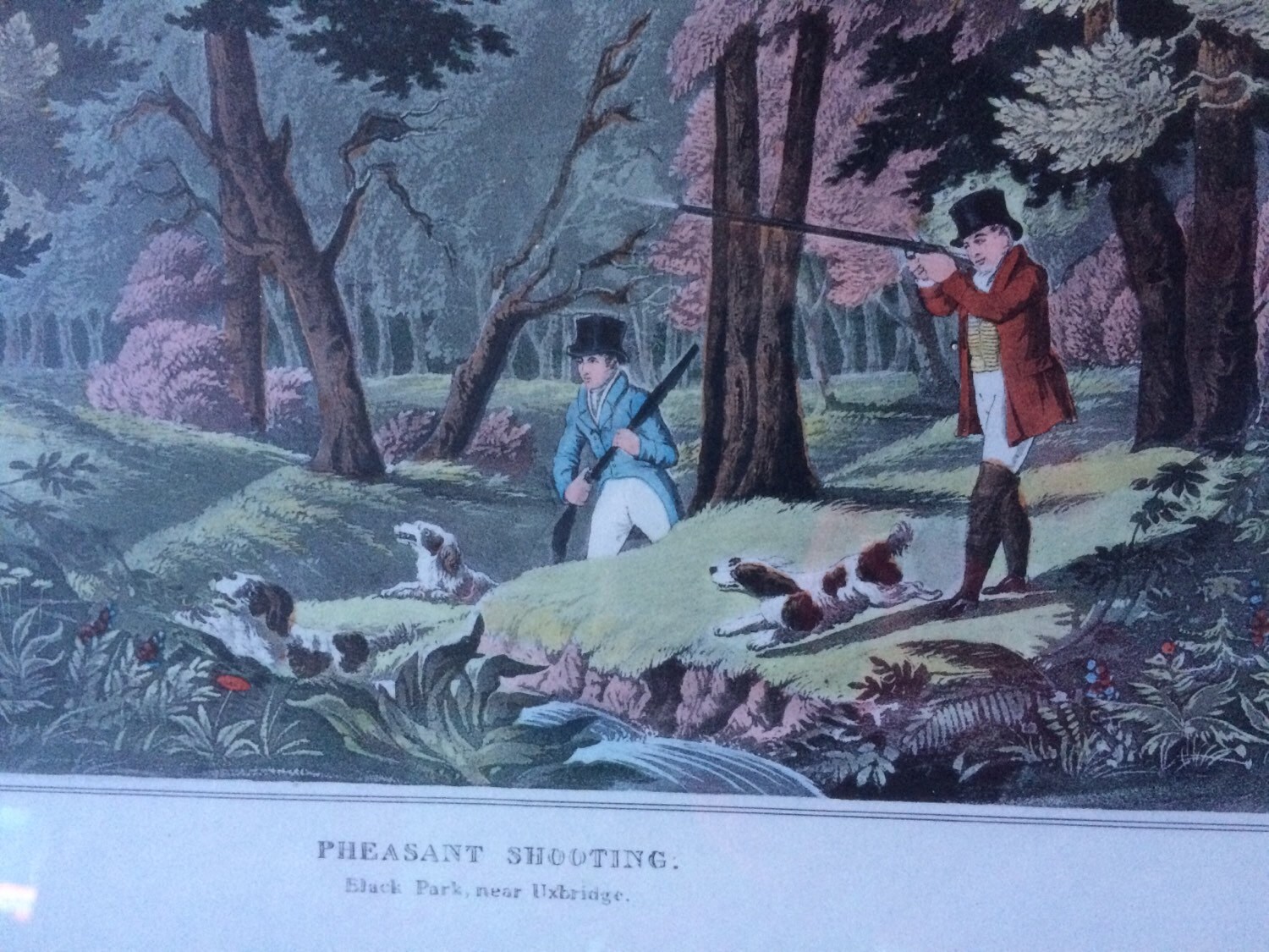 R Havell Jr Pheasant Shooting Aquatint - Etsy