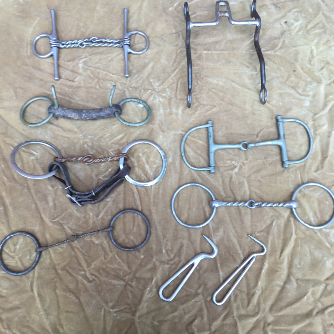 Horse Bits - Etsy