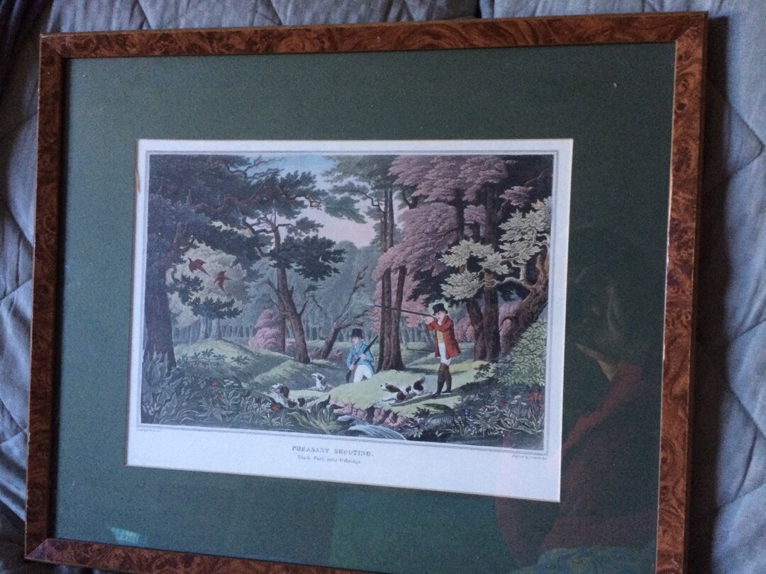 R Havell Jr Pheasant Shooting Aquatint - Etsy