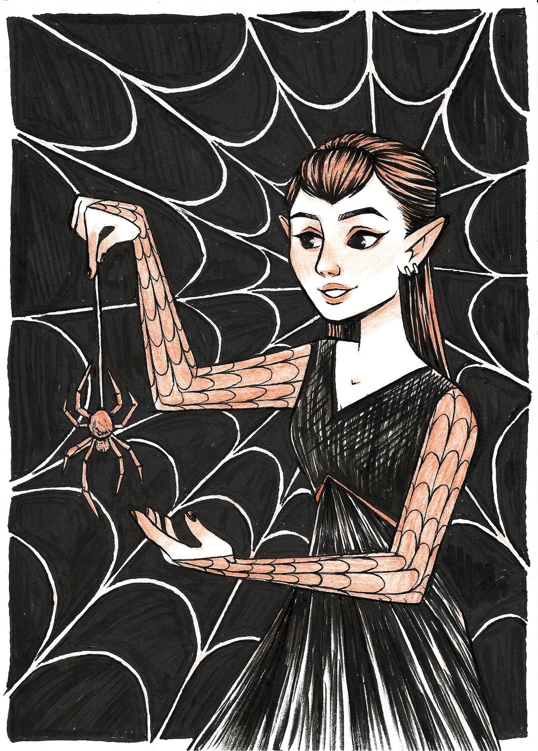 Spiders • Original Ink Drawing 5x7 - Etsy