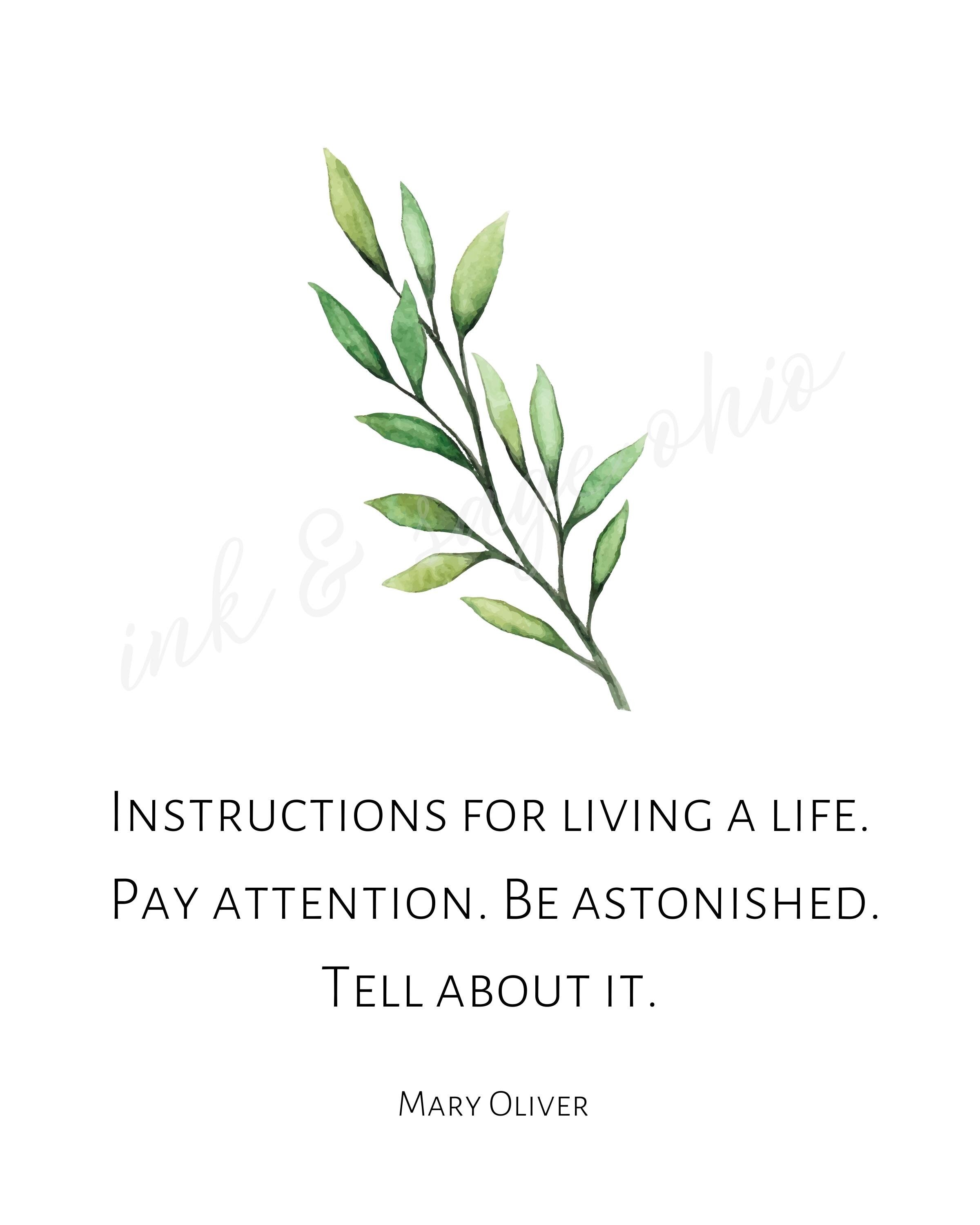 Instructions for Living a Life Quote Printable / Mary Oliver Poem ...