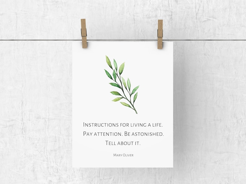 Instructions for Living a Life Quote Printable / Mary Oliver Poem ...