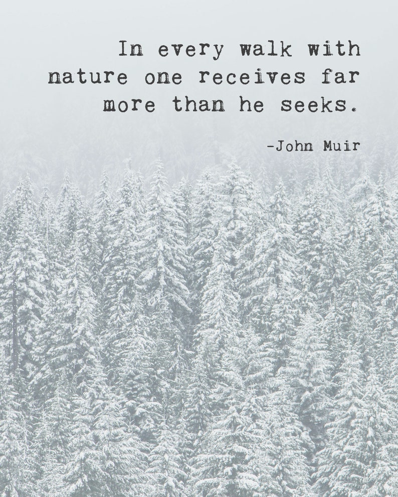 John Muir Quote in Every Walk With Nature Print / Digital - Etsy