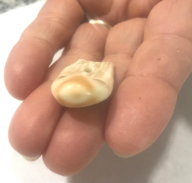 Faux Elk Ivory Resin Tooth, Jewelry Making Supplies, Rustic Western ...