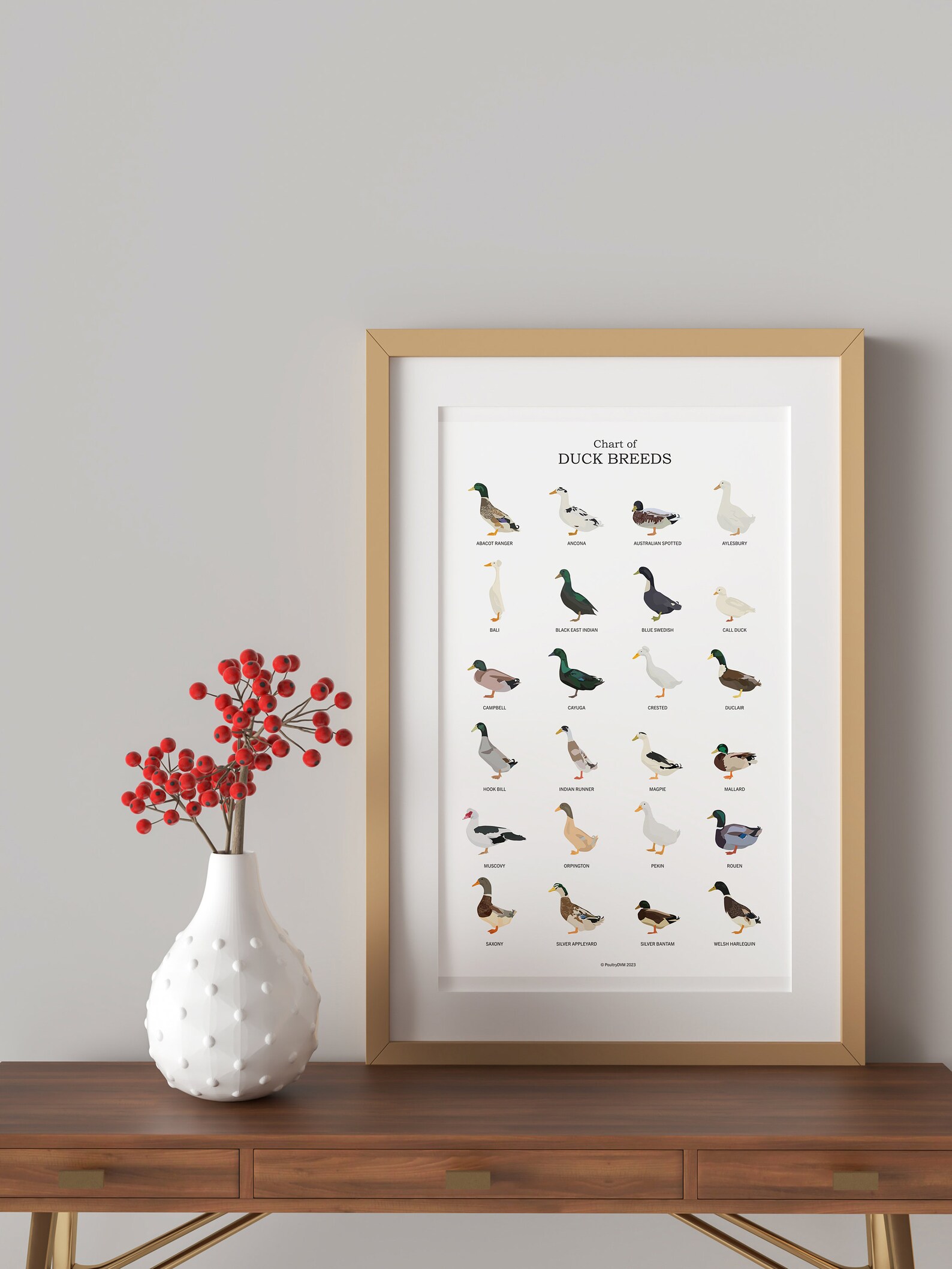 Duck Breeds Art Poster: Waterfowl Chart for Duck Lovers - Etsy