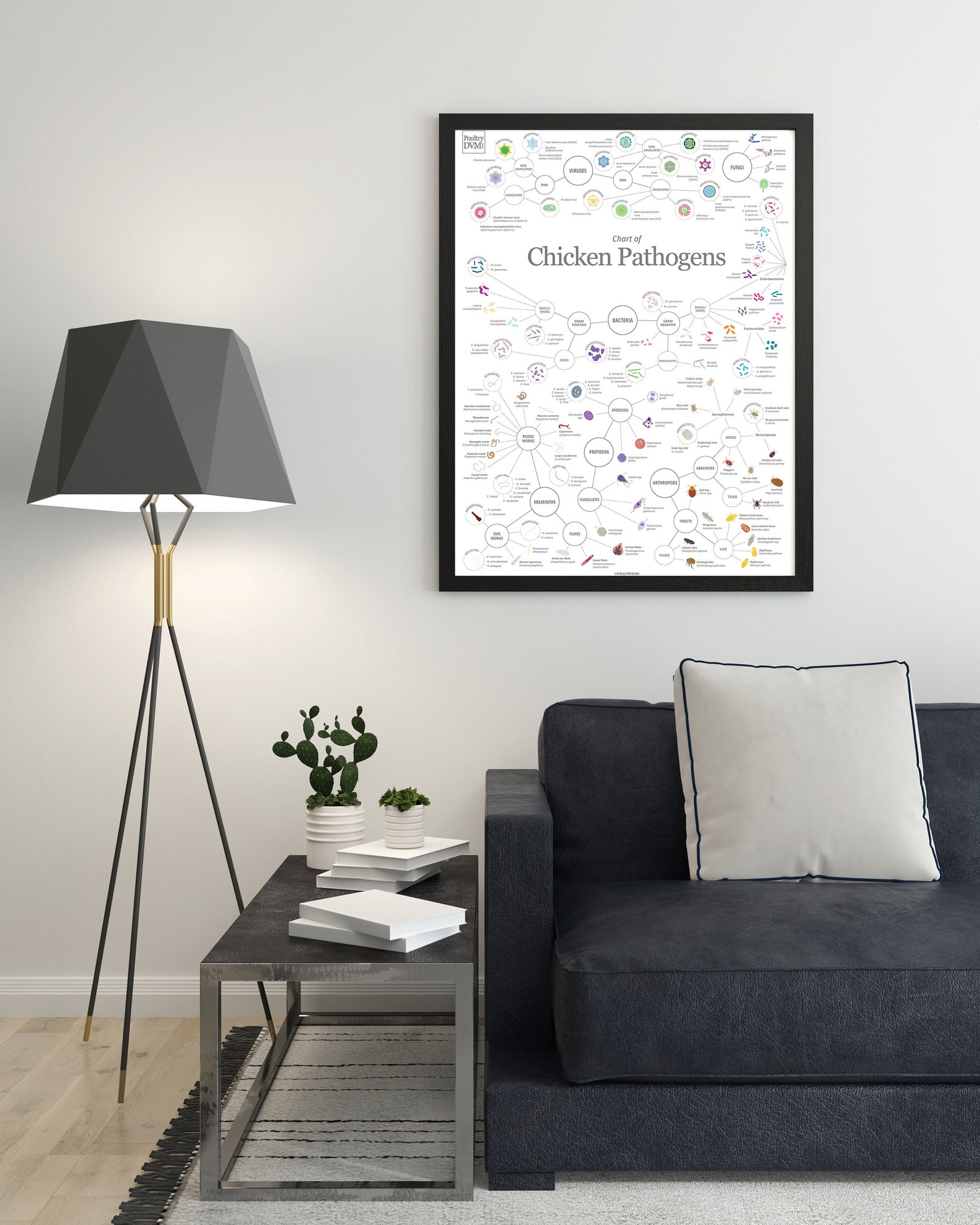 Chicken Pathogens Chart – Microbiology Veterinary Art Poster - Etsy