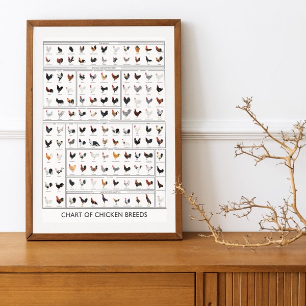 Chicken Breeds Poster - Etsy