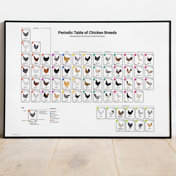 Chicken Breeds Poster - Etsy