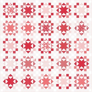 Primrose Quilt Kit Featuring Lighthearted Pink Quilt Kit*primrose Quilt ...