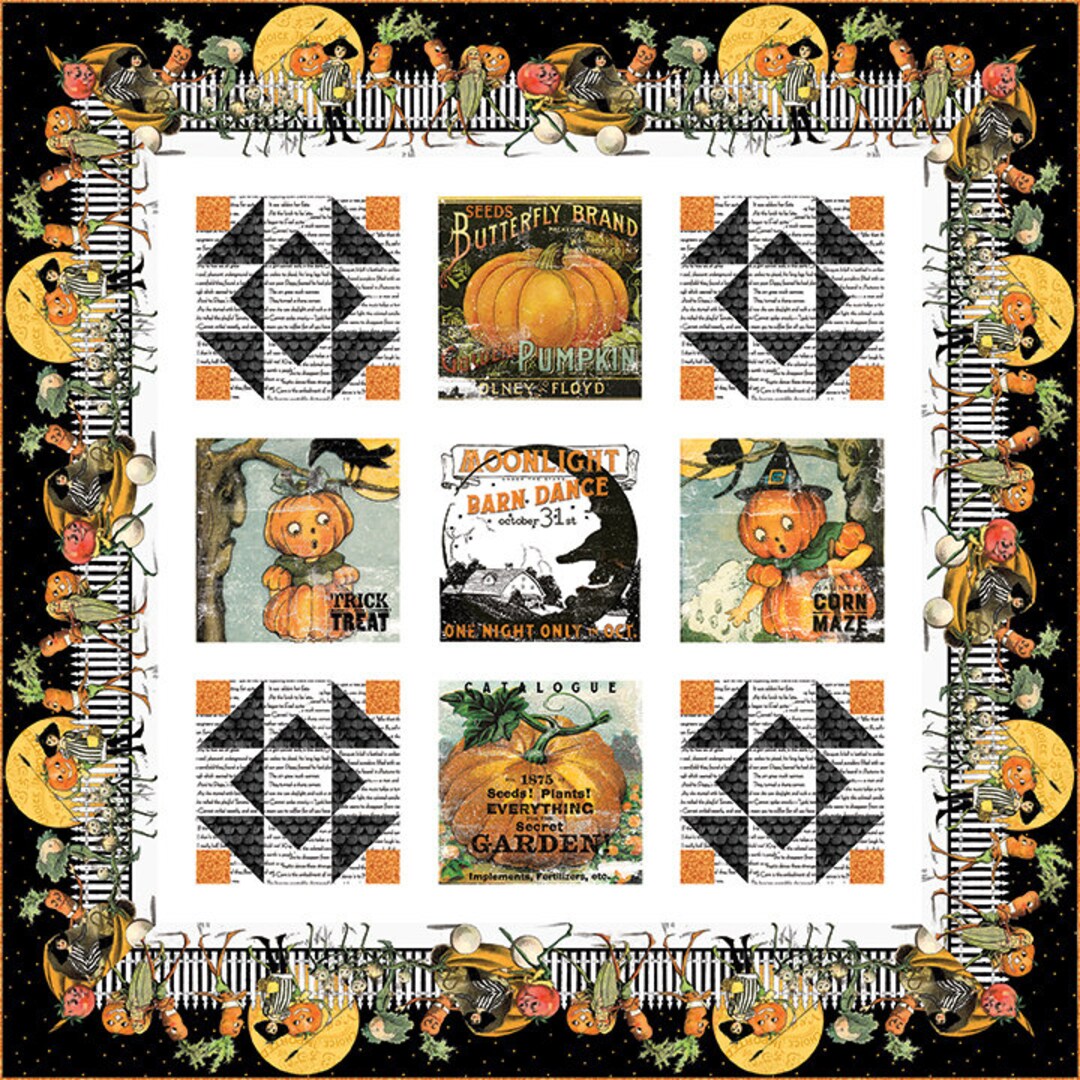 Barn Dance Quilt Kit 55.5" X 55.5" by J. Wecker Frisch - OUT of PRINT ...