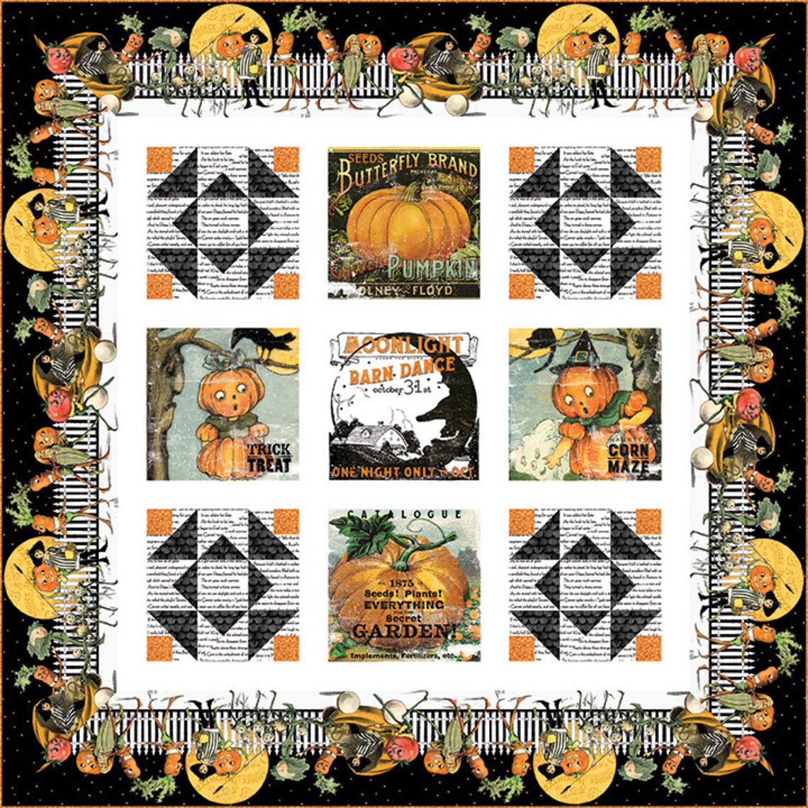Barn Dance Quilt Kit 55.5" X 55.5" by J. Wecker Frisch - OUT of PRINT ...