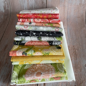 Constance Quilt Kit With Dandi Duo by Robin Pickens Lap or Twin Size - Etsy