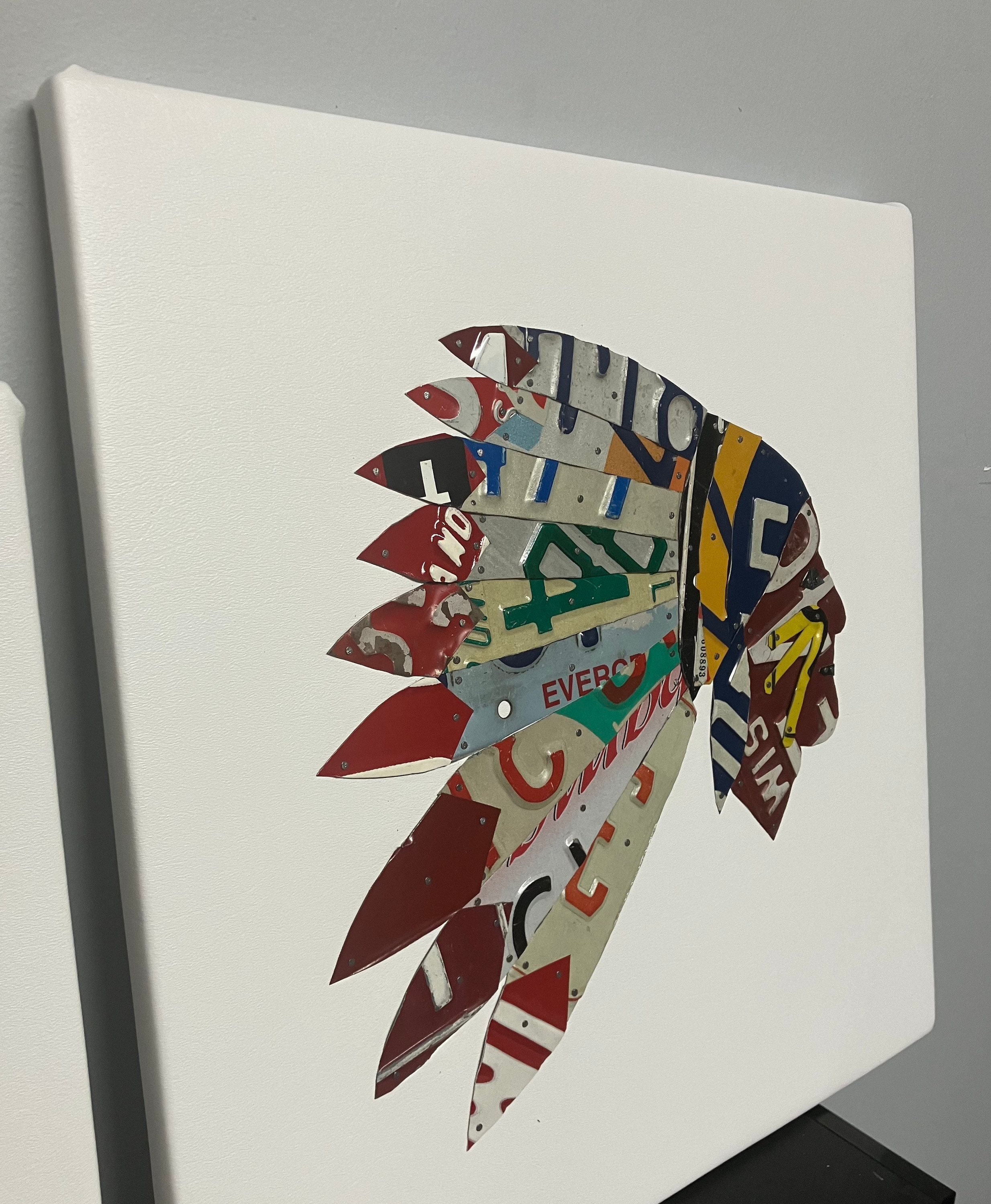Indian License Plate Art Native Recycled Handmade Folk Art - Etsy