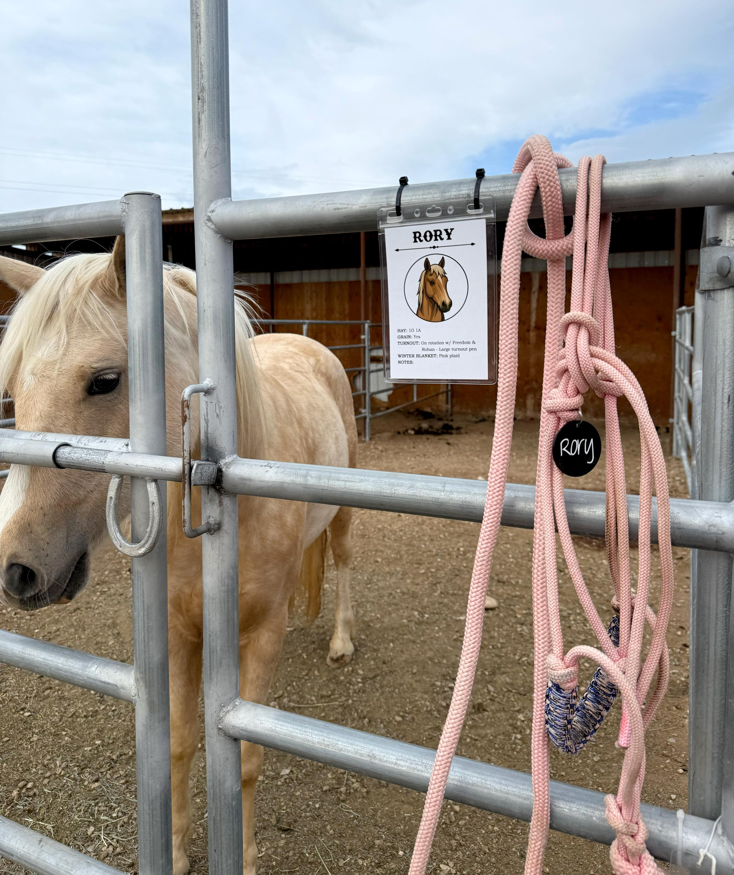 Custom Horse Stall Card | Emergency Contact & Identification ...