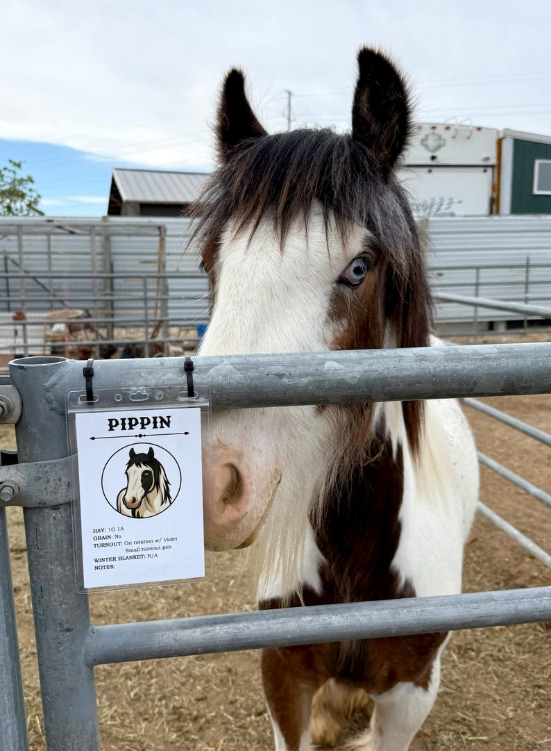 Custom Horse Stall Card | Emergency Contact & Identification ...