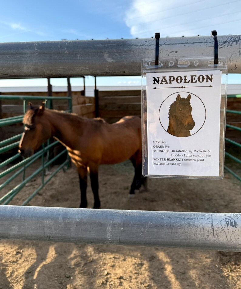 Custom Horse Stall Card | Emergency Contact & Identification ...
