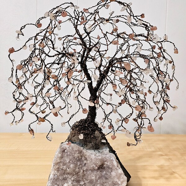 Willow Bonsai Tree - Etsy