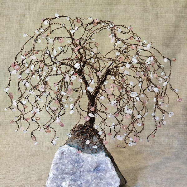 Weeping Willow Bonsai - Etsy