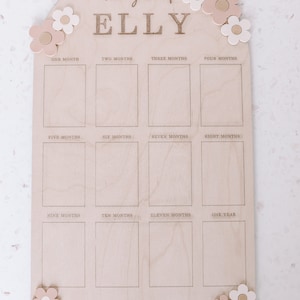 First Year Birthday Board | Monthly Milestone Photo Board | One Year of ...